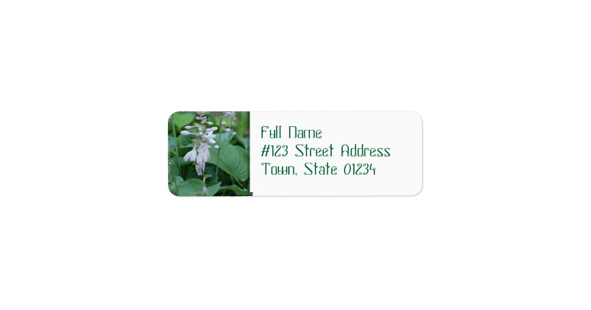 Hosta Plant Return Address Mailing Labels | Zazzle