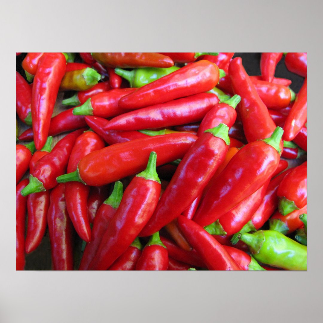 Hot Chili Peppers Poster | Zazzle