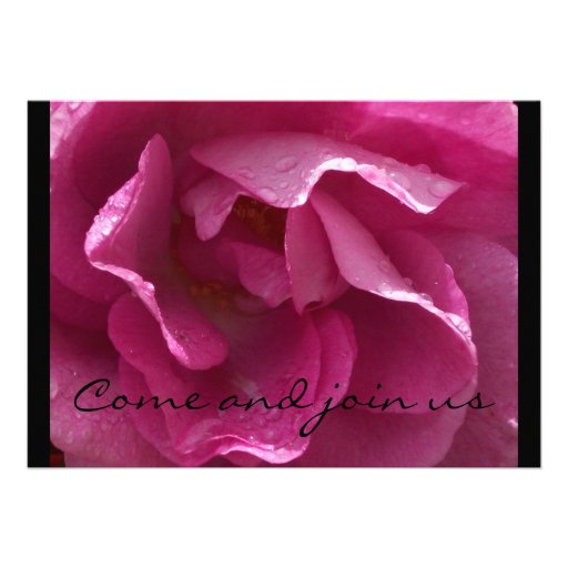 Hot Pink Rose, black border 5x7 Paper Invitation Card | Zazzle