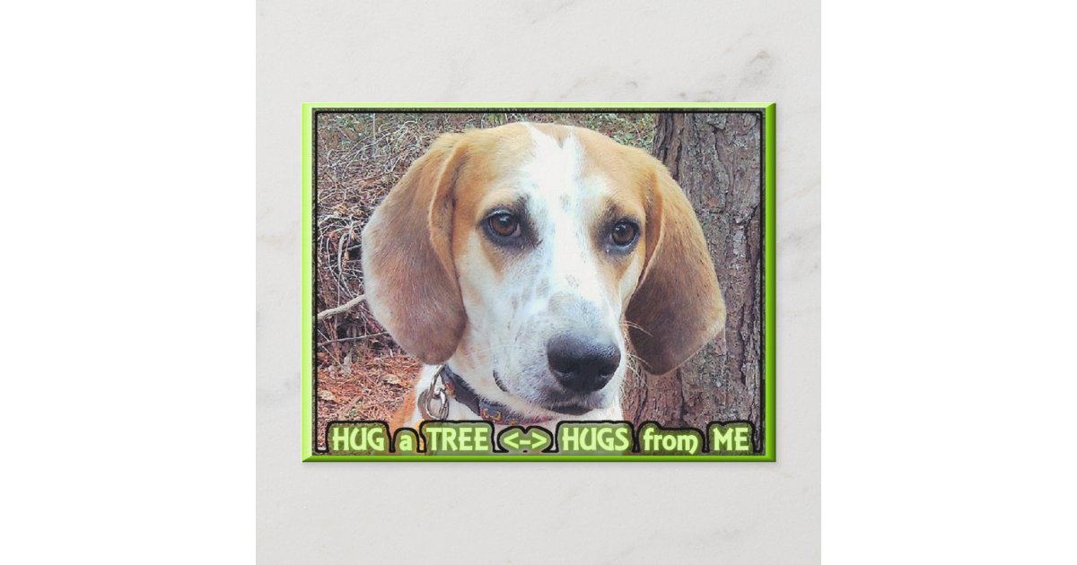 Hound Dog Tree Hugger Postcard | Zazzle