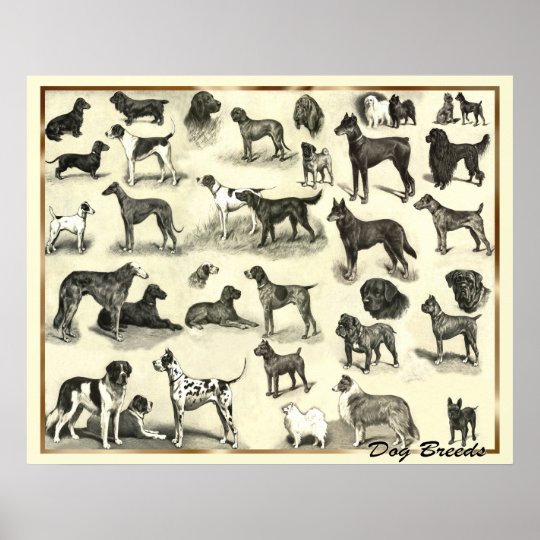 Hounds - Dog Breeds - Hunds Print Dogs | Zazzle.com