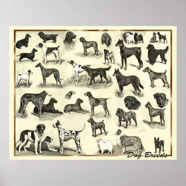 Hounds - Dog Breeds - Hunds Print Dogs | Zazzle