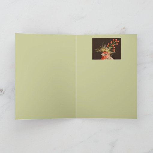 house finch, Happy Birthday Card | Zazzle