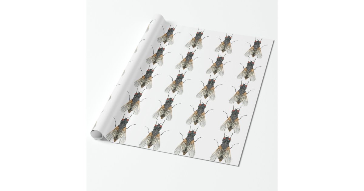 house fly . wrapping paper | Zazzle