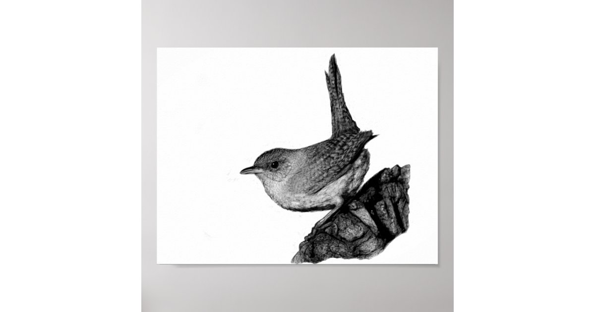 House Wren Poster | Zazzle