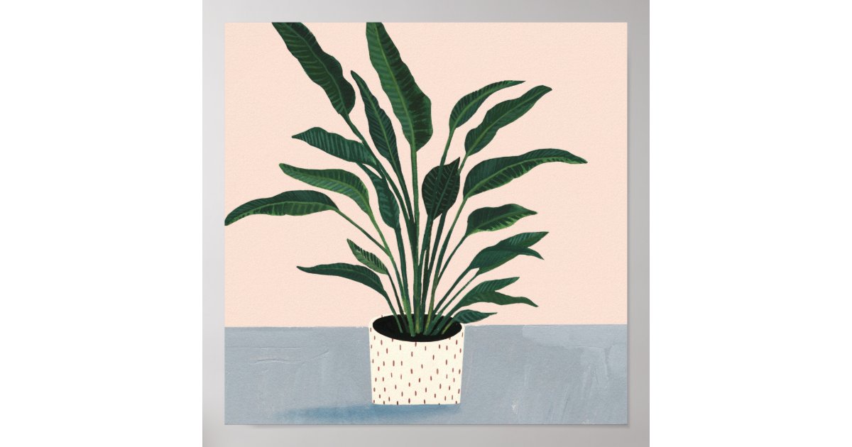 Houseplant Poster | Zazzle
