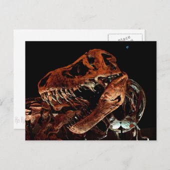 Houston Museum of Natural Science Postcard | Zazzle