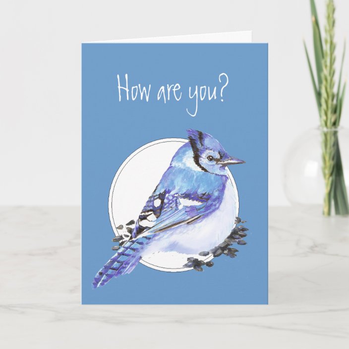 How Are You Poem, Blue Jay Watercolor Bird Card | Zazzle.com