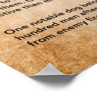 How Mercy Dogs Saved WWI Soldiers on Battlefields Poster | Zazzle