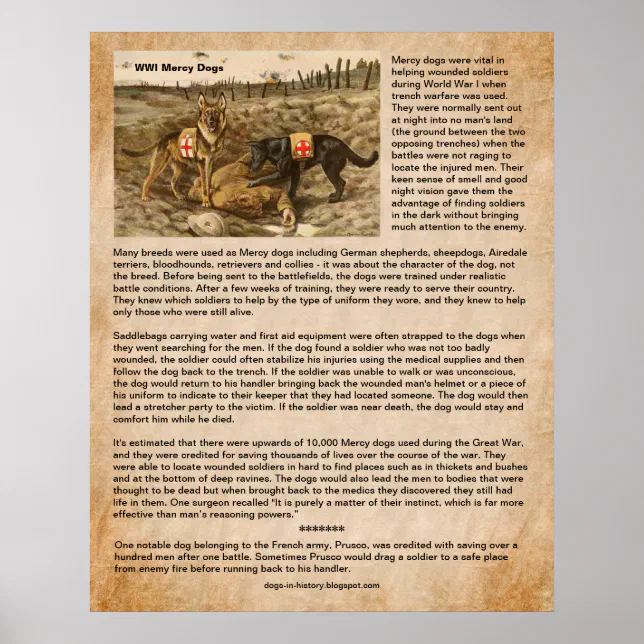 How Mercy Dogs Saved WWI Soldiers on Battlefields Poster | Zazzle