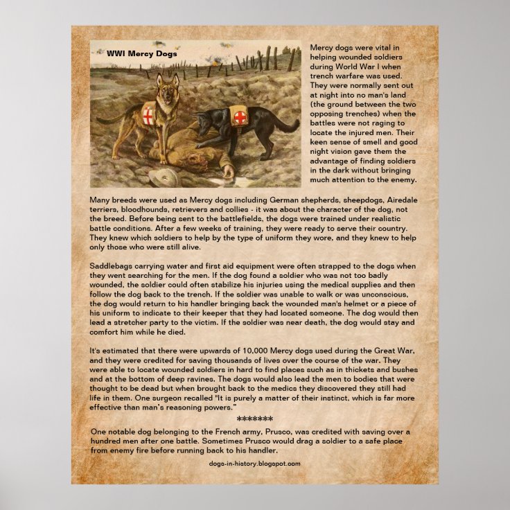 How Mercy Dogs Saved WWI Soldiers on Battlefields Poster | Zazzle