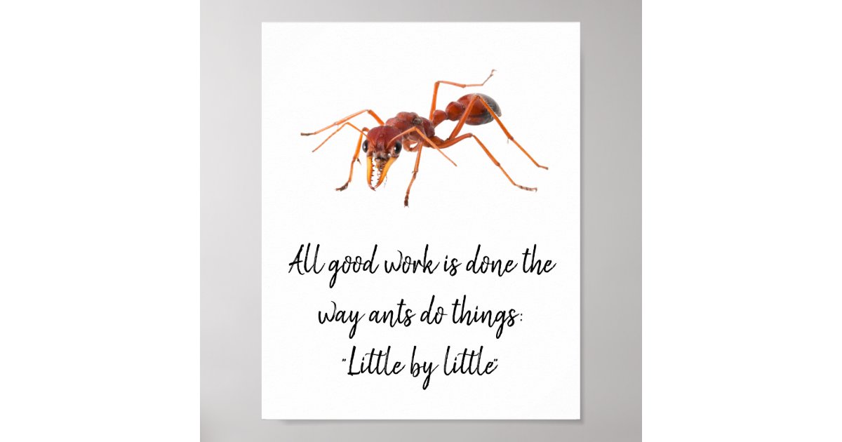 How the ants work poster | Zazzle