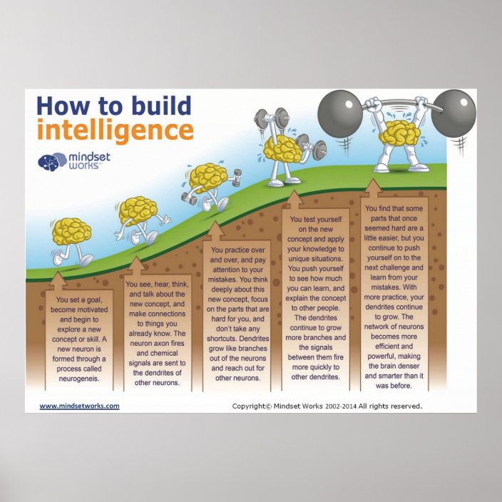 How to Build Intelligence Poster by Mindset Works | Zazzle.com