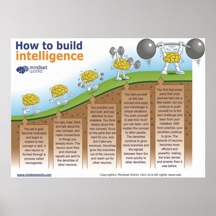 How to Build Intelligence Poster by Mindset Works | Zazzle