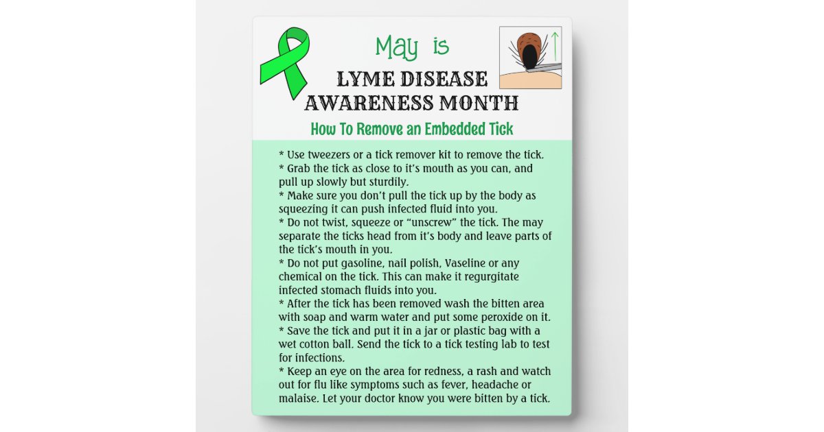 How to remove a Tick Educational Plaque | Zazzle