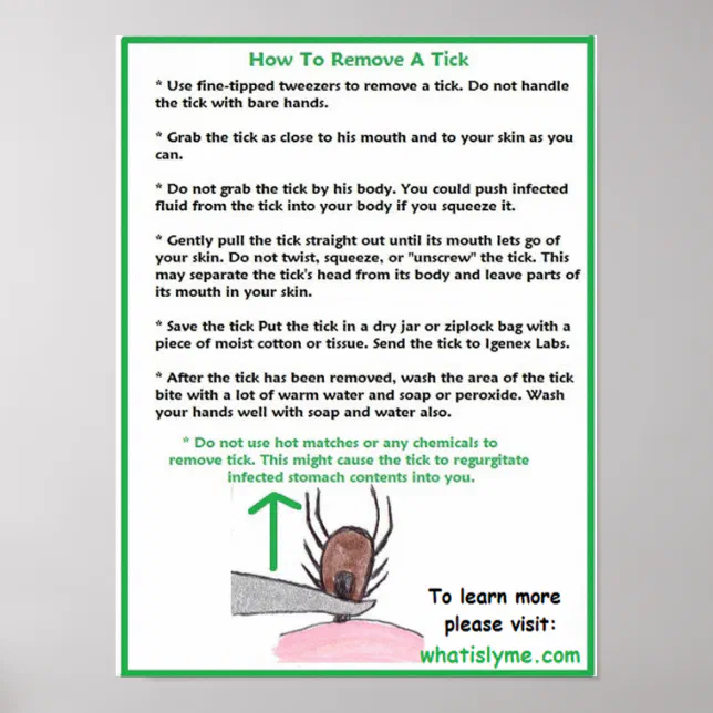 How to Remove a Tick Educational Poster | Zazzle