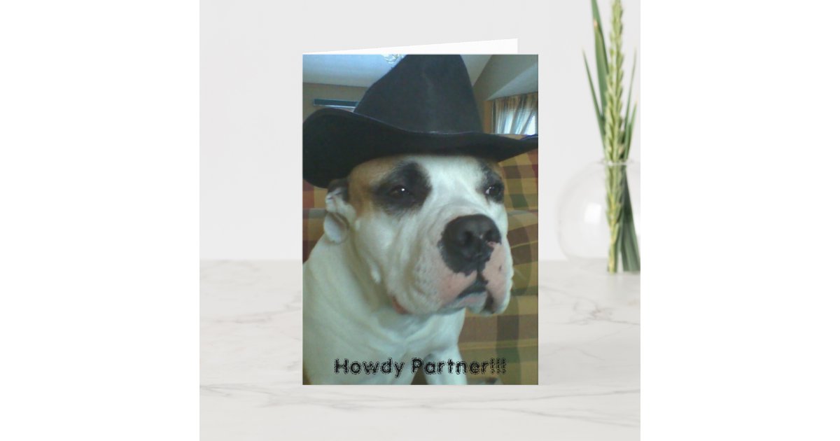 Howdy partner greeting card | Zazzle