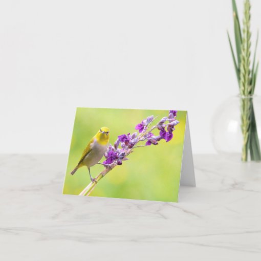 Howdy/Yellow Bird on Purple Flowering Branches Holiday Card | Zazzle