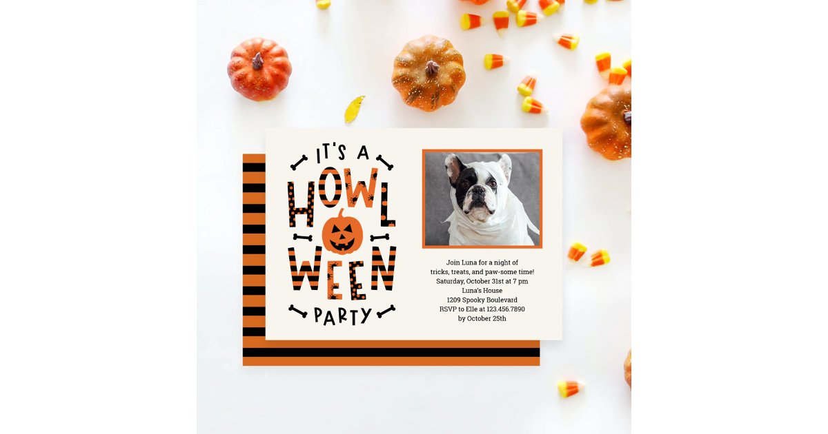 Howl-O-Ween Dog Halloween Party Invitation | Zazzle