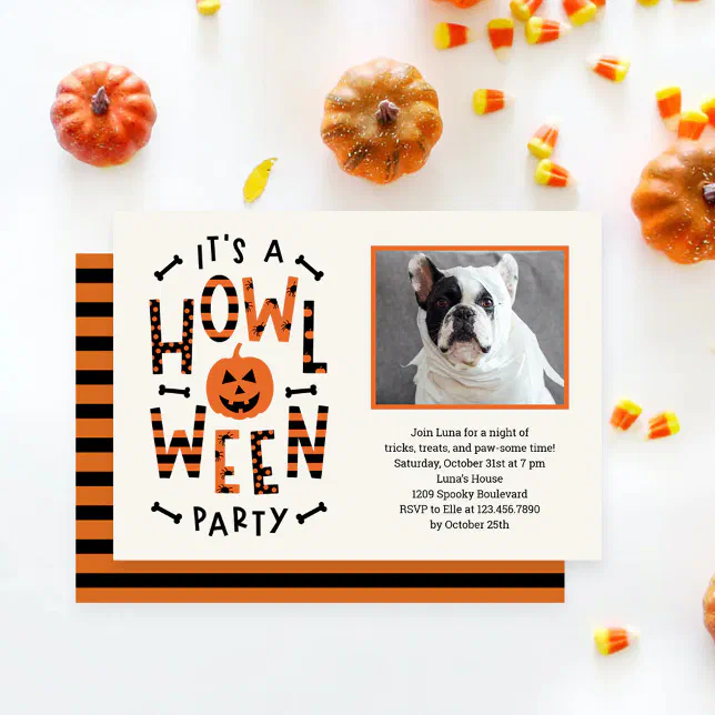 Howl-O-Ween Dog Halloween Party Invitation | Zazzle