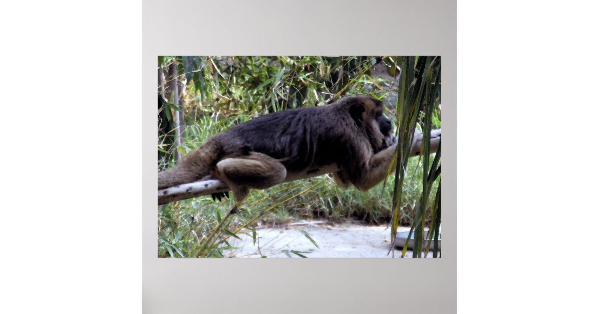 Howler Monkey Hangout Poster | Zazzle
