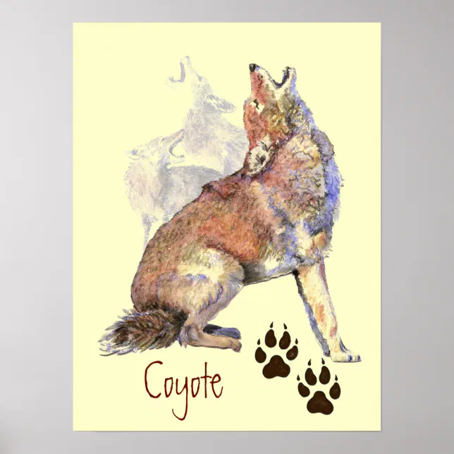 Howling Coyote Poster | Zazzle