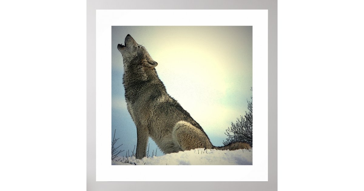 Howling Wolf Poster Print with White Borders | Zazzle