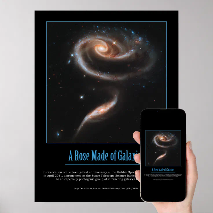 HUBBLE - A ROSE MADE of GALAXIES Poster | Zazzle