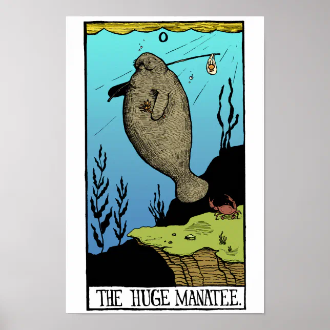 Huge Manatee poster | Zazzle