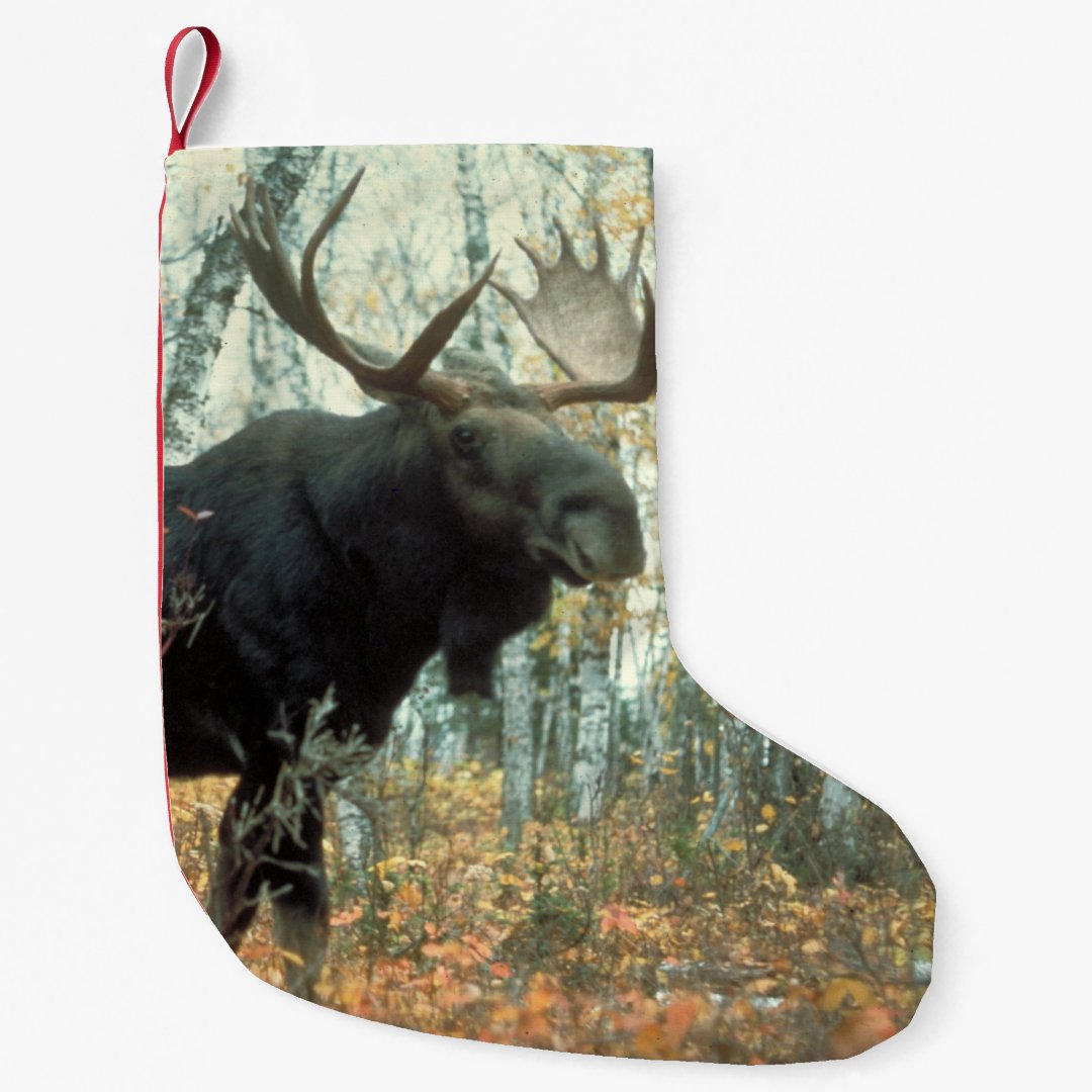 Huge Moose Small Christmas Stocking | Zazzle