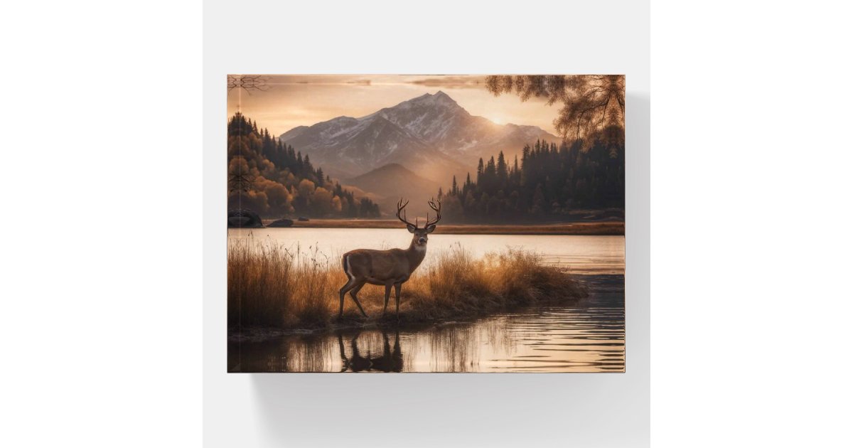 Huge Racked Deer on Mountain Lake Paperweight | Zazzle