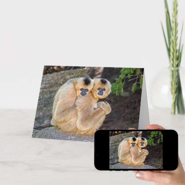 Hugging Buff Cheeked Gibbons Card | Zazzle