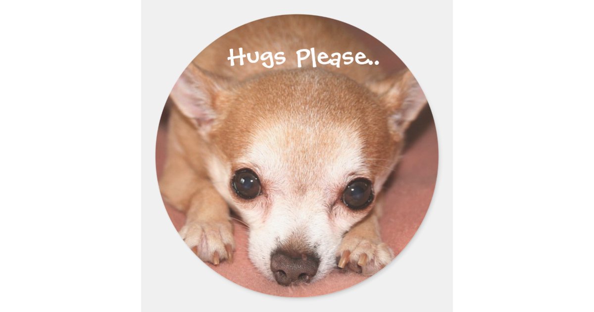 Hugs Please.. Classic Round Sticker | Zazzle