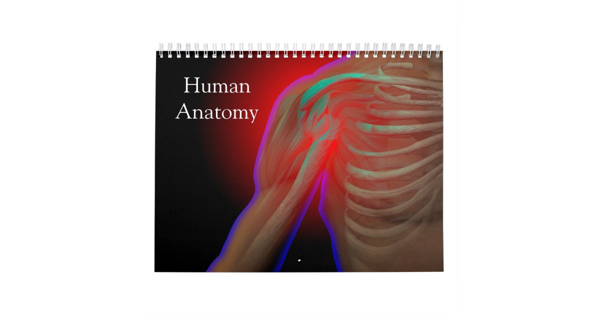 Human Anatomy Calendar | Zazzle