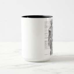 Human Anatomy Chart Mug | Zazzle