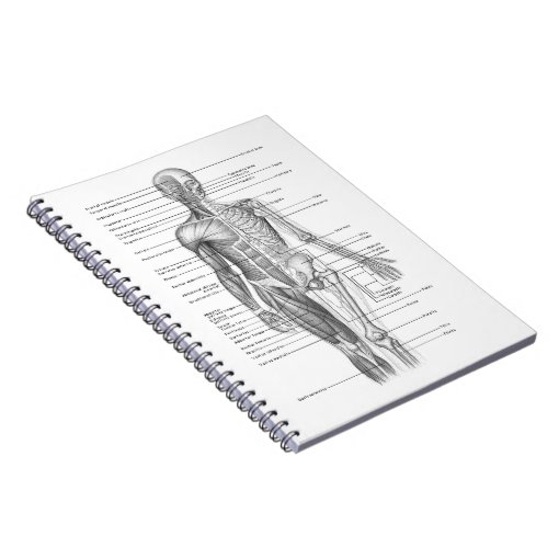 Human Anatomy Chart Notebook | Zazzle