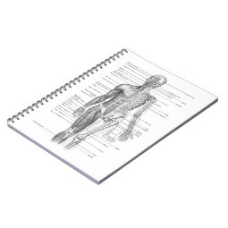 Human Anatomy Chart Notebook | Zazzle