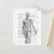Human Anatomy Chart Postcard | Zazzle