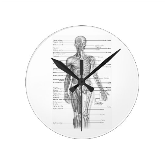 Human Anatomy Chart Round Clock | Zazzle.com