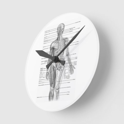 Human Anatomy Chart Round Clock | Zazzle