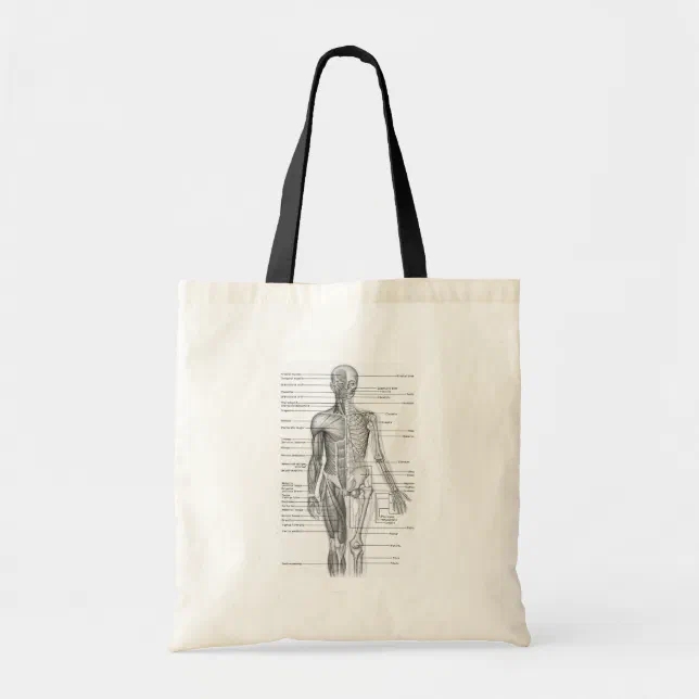Human Anatomy Chart Tote Bag | Zazzle