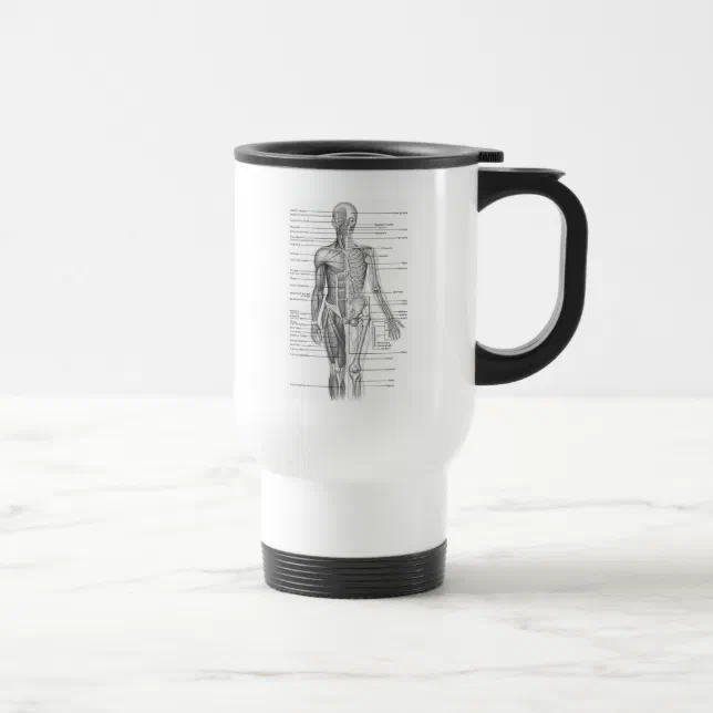 Human Anatomy Chart Travel Mug | Zazzle