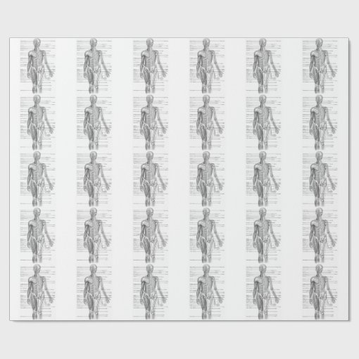 Human Anatomy Chart Wrapping Paper | Zazzle