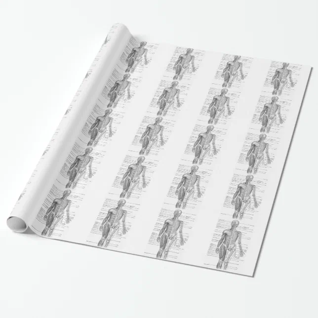 Human Anatomy Chart Wrapping Paper | Zazzle
