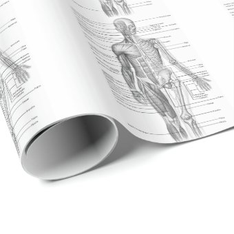 Human Anatomy Chart Wrapping Paper | Zazzle