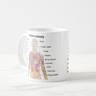 Human Anatomy Coffee Mug | Zazzle