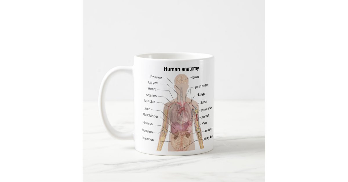 Human Anatomy Coffee Mug | Zazzle
