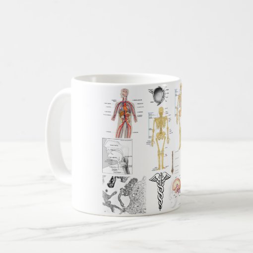 Human Anatomy Diagrams Coffee Mug | Zazzle
