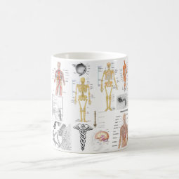 Human Anatomy Diagrams Coffee Mug | Zazzle
