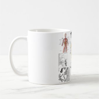 Human Anatomy Diagrams Coffee Mug | Zazzle